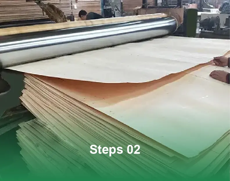 Plywood Glue Types | Waterproof & Durable Adhesives